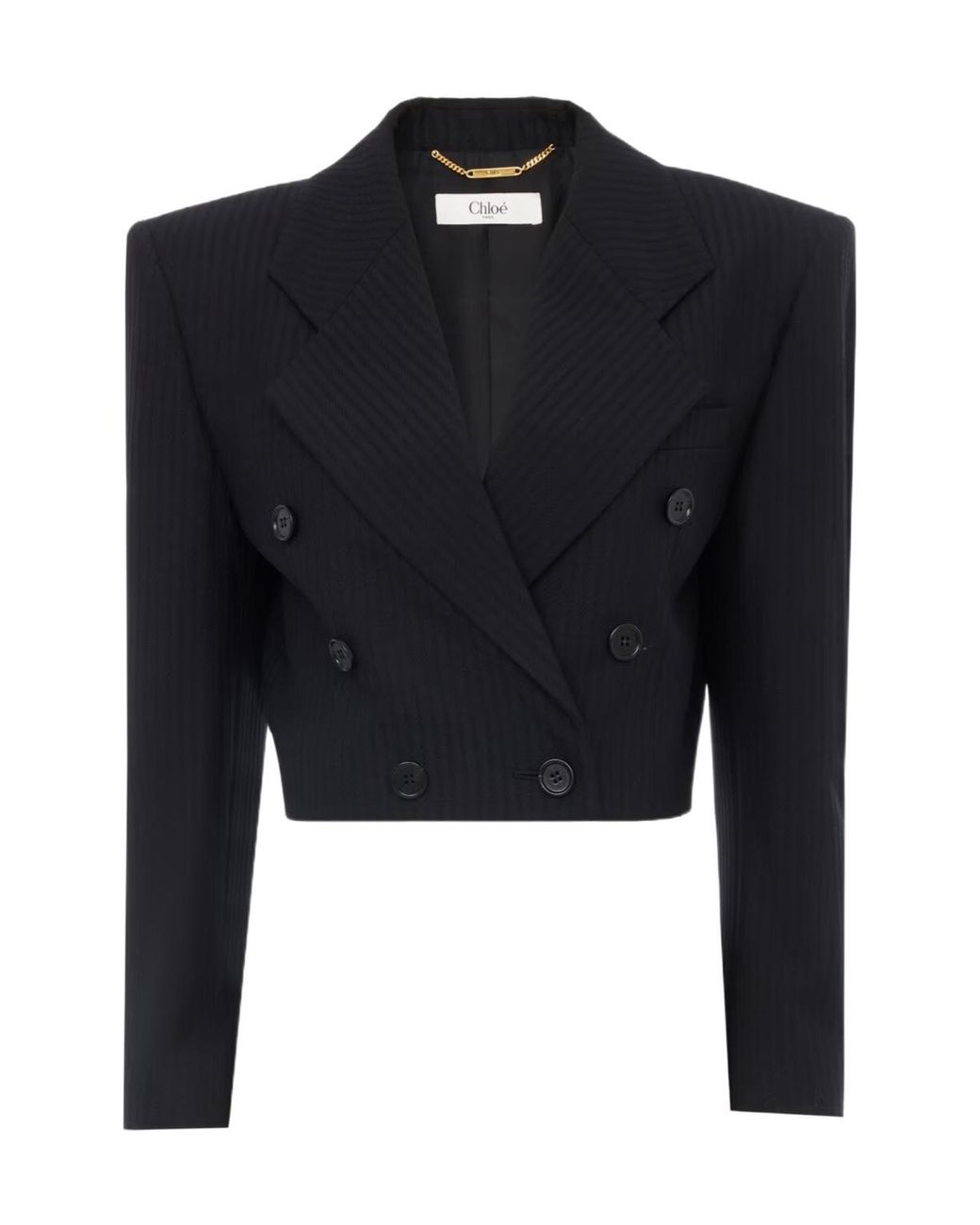 Chloé Spencer Striped Button Blazer in Blue | Lyst