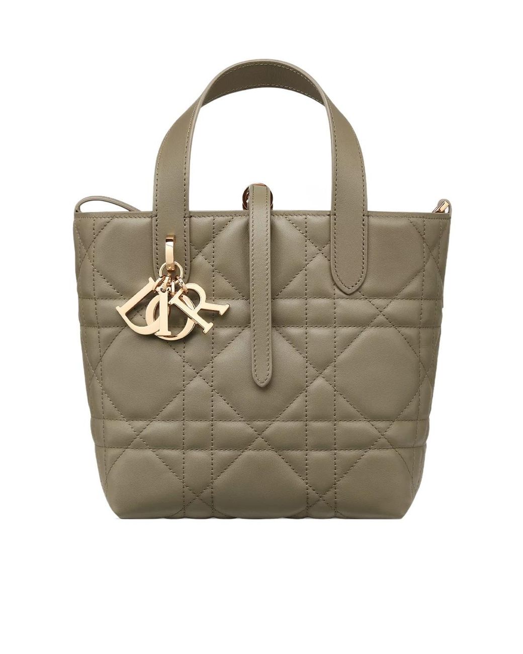 Dior Small Toujours Vertical Tote in Metallic | Lyst