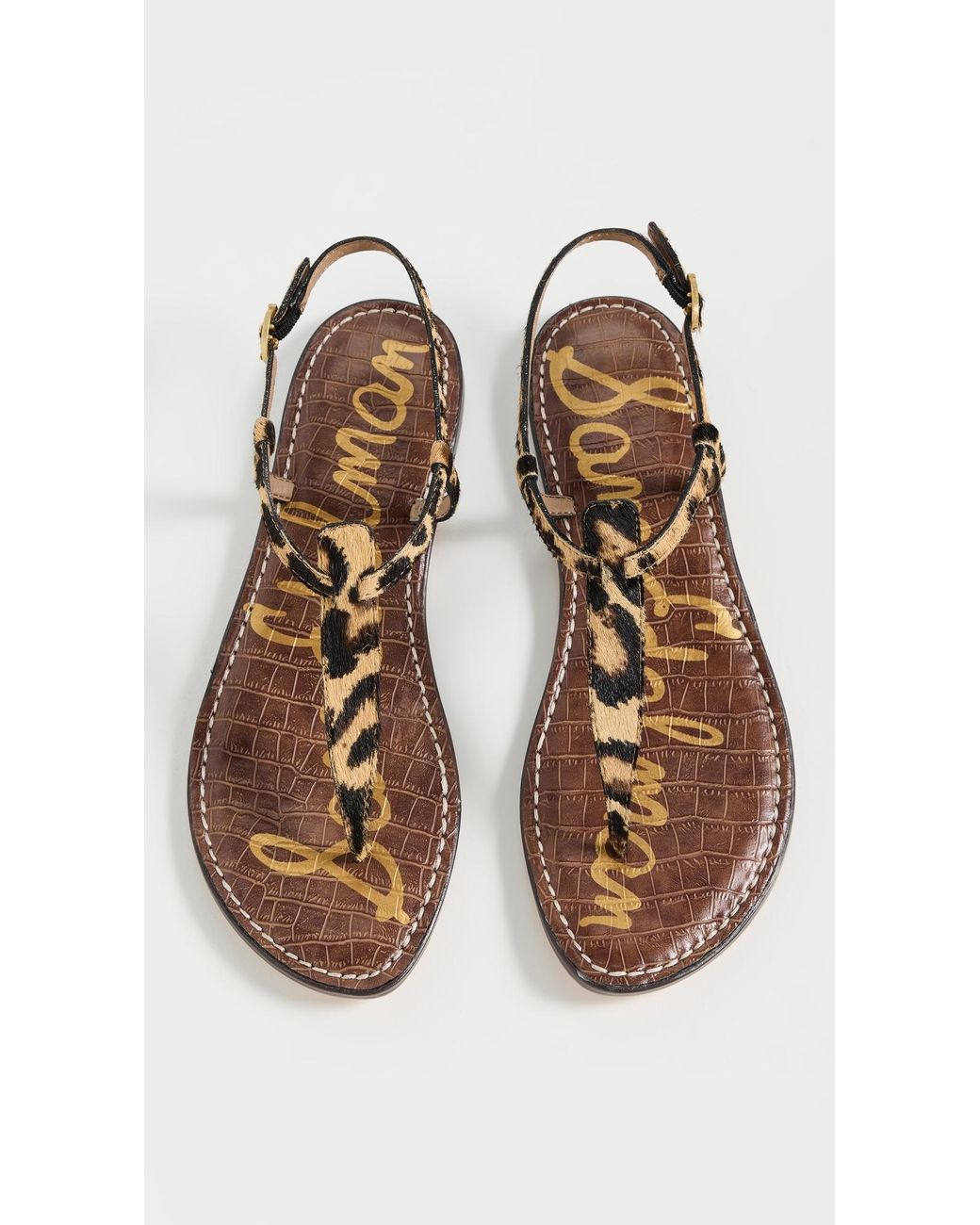 Sam Edelman Gigi Thong Sandals in Black | Lyst