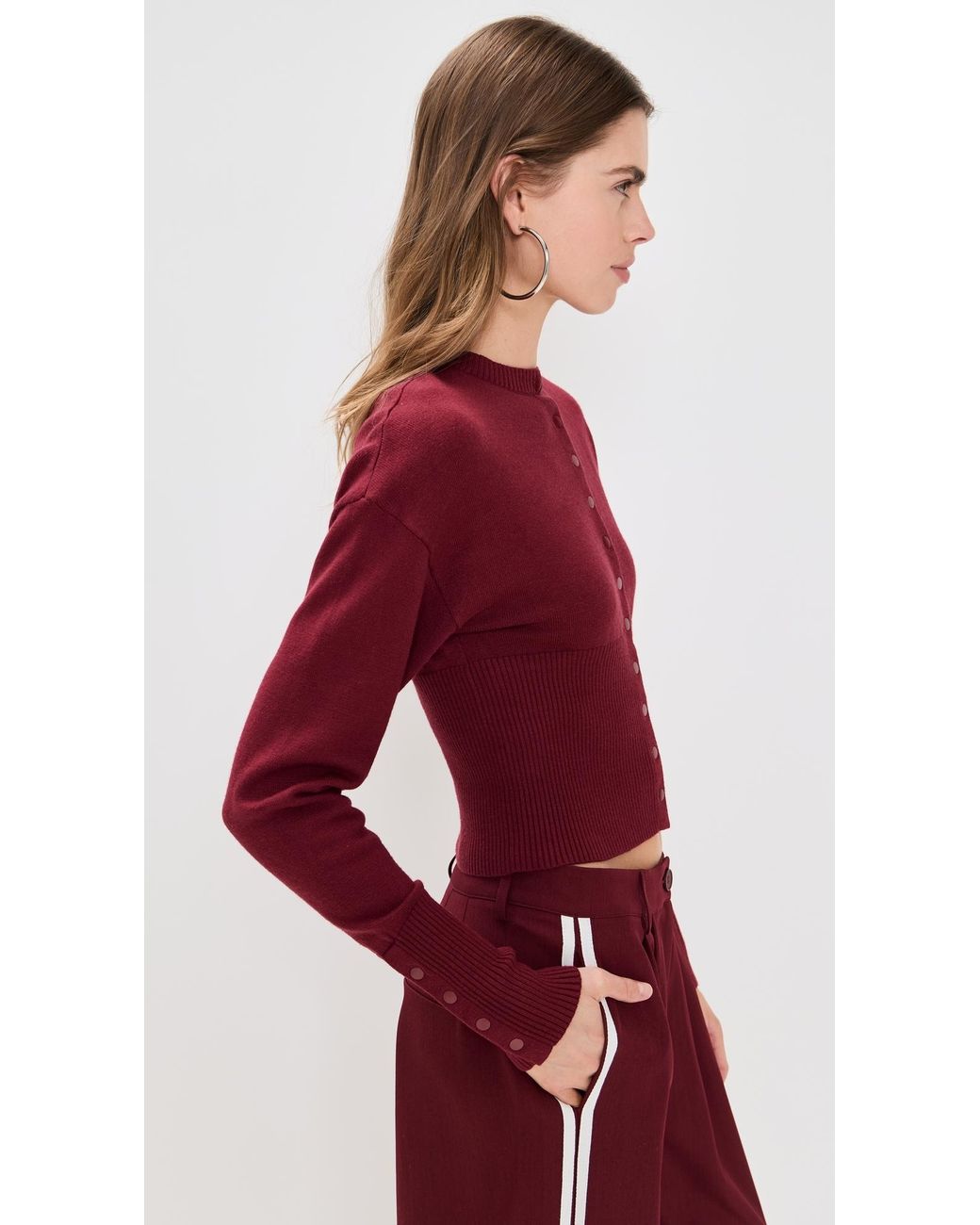 Lioness Head in Red | Lyst