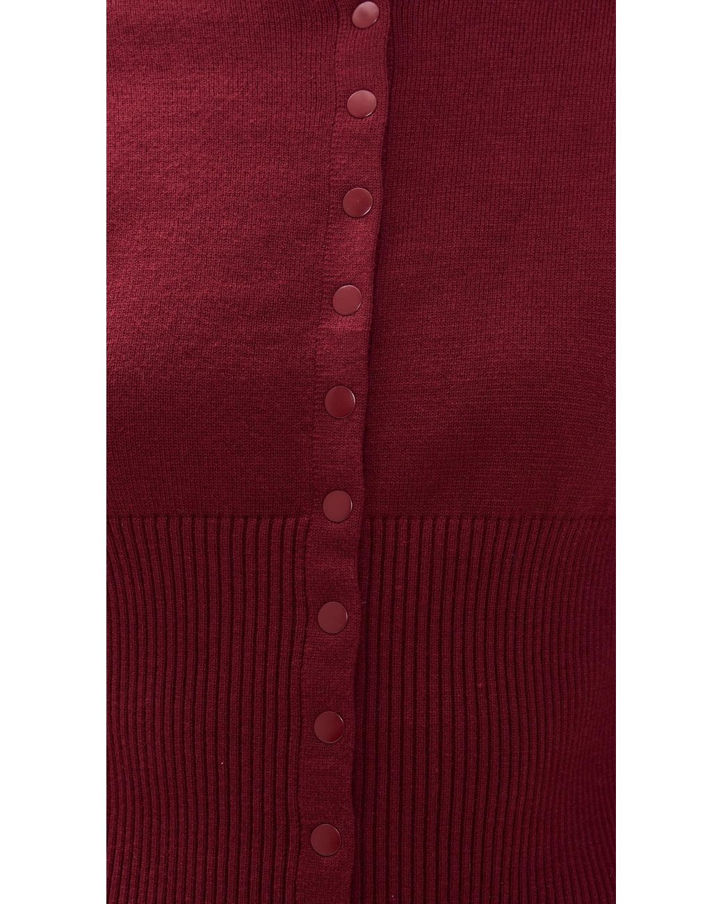 Lioness Head in Red | Lyst