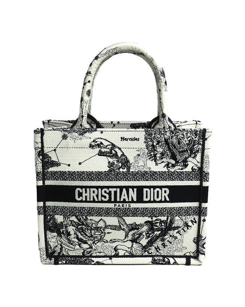 Dior Dior Book Tote Small Canvas Bag in Black | Lyst
