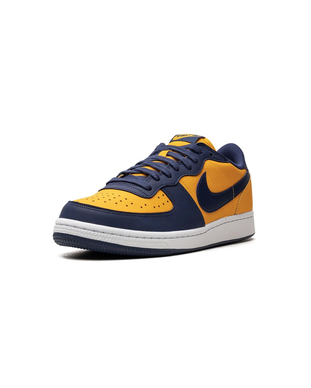 Nike Terminator Low Og "Michigan" Fj4206 700" in Blue for Men | Lyst UK