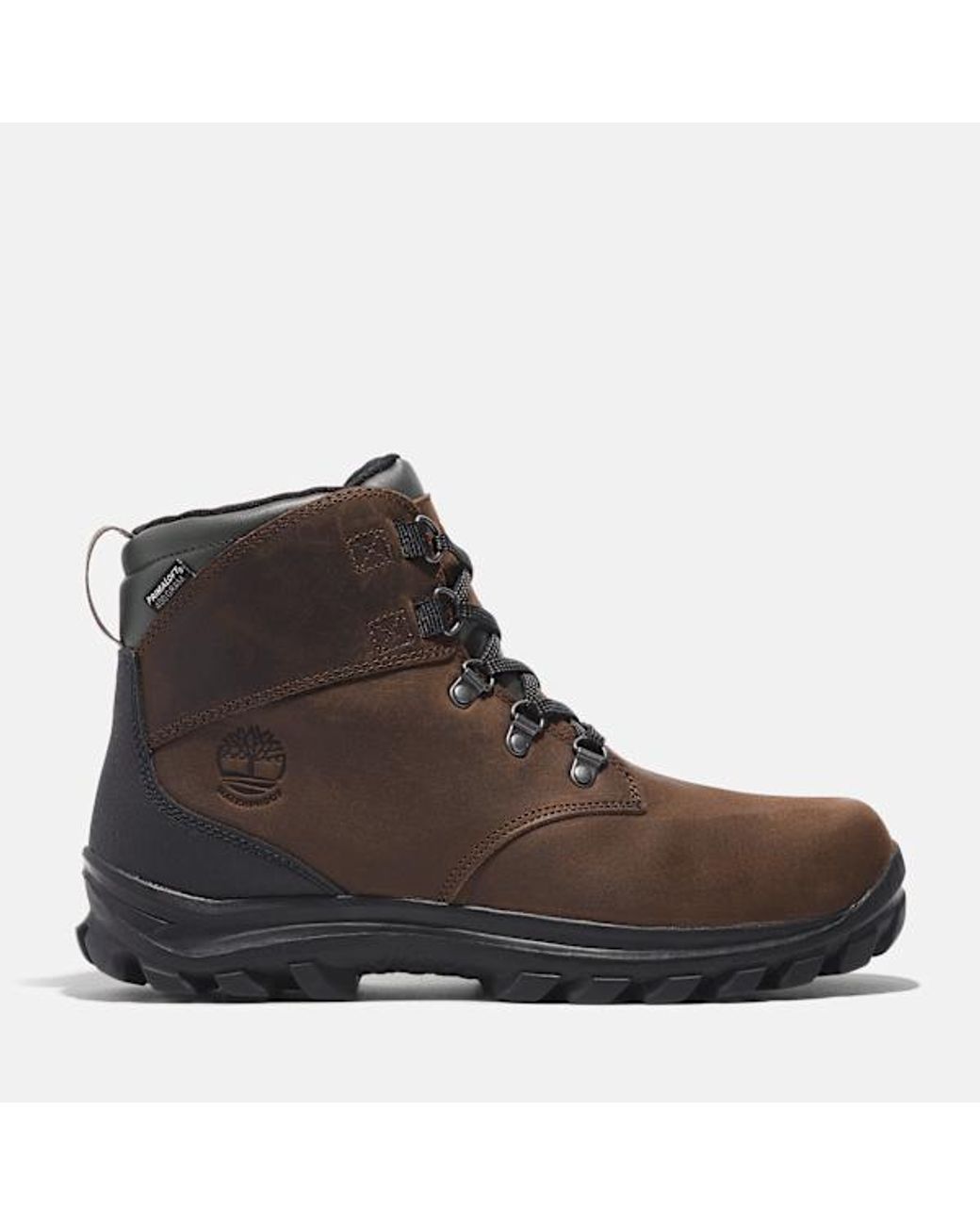 Timberland Chillberg Mid Lace-up Waterproof Snow Boot For Men In Dark ...