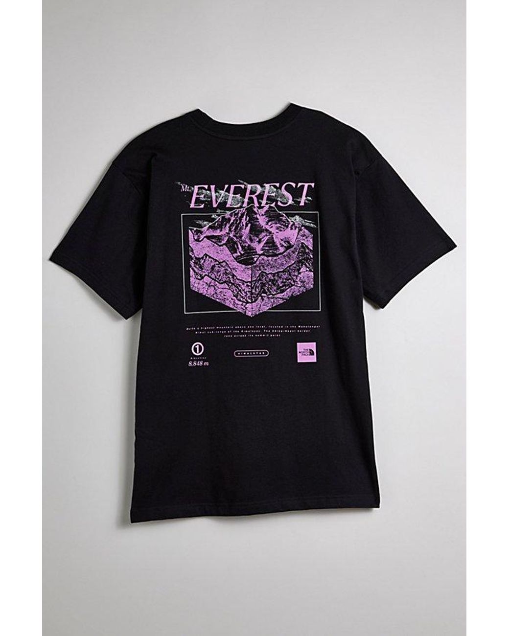 The north face mt everest t shirt store