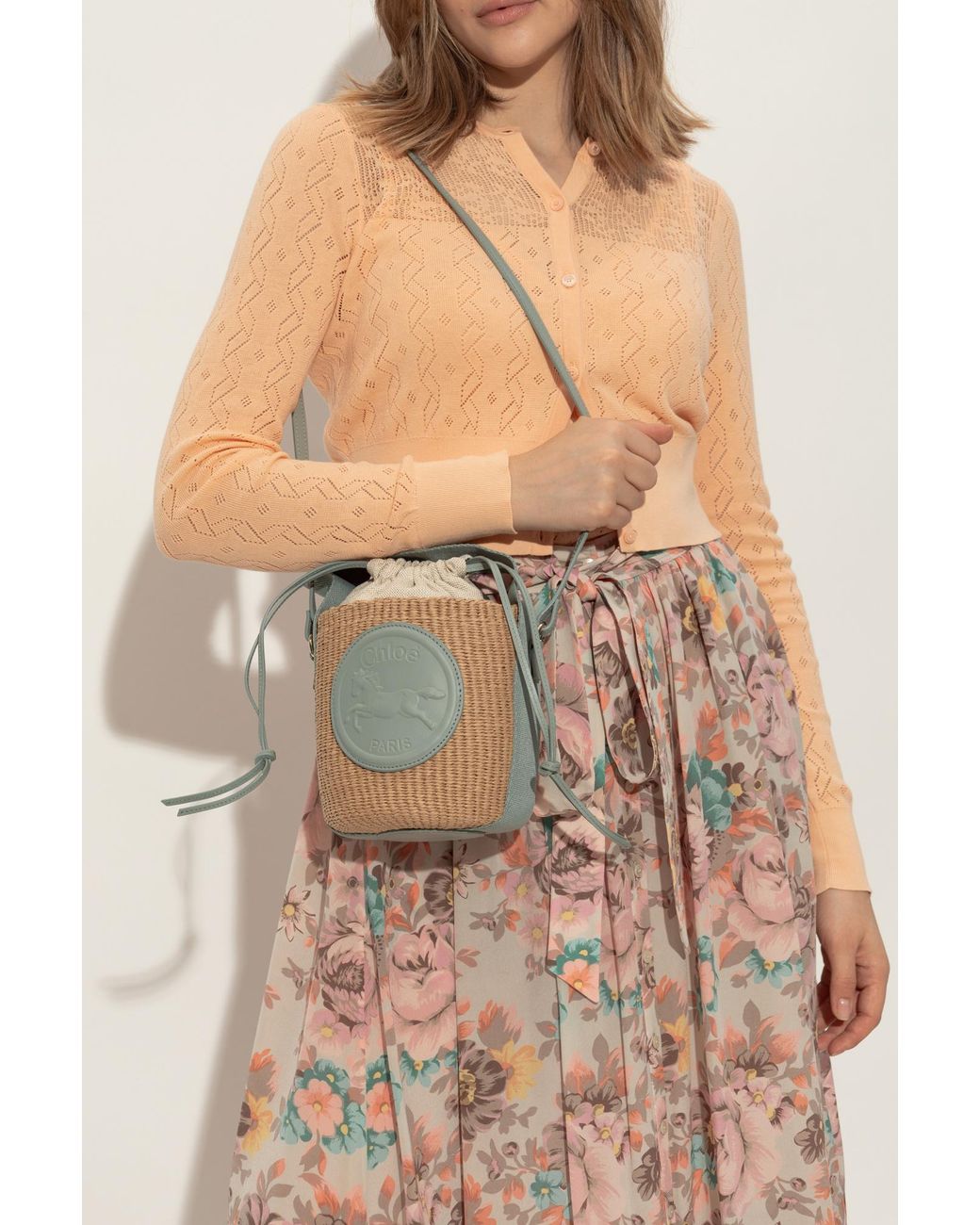Chloé Horse Medal Small Bag in Brown | Lyst