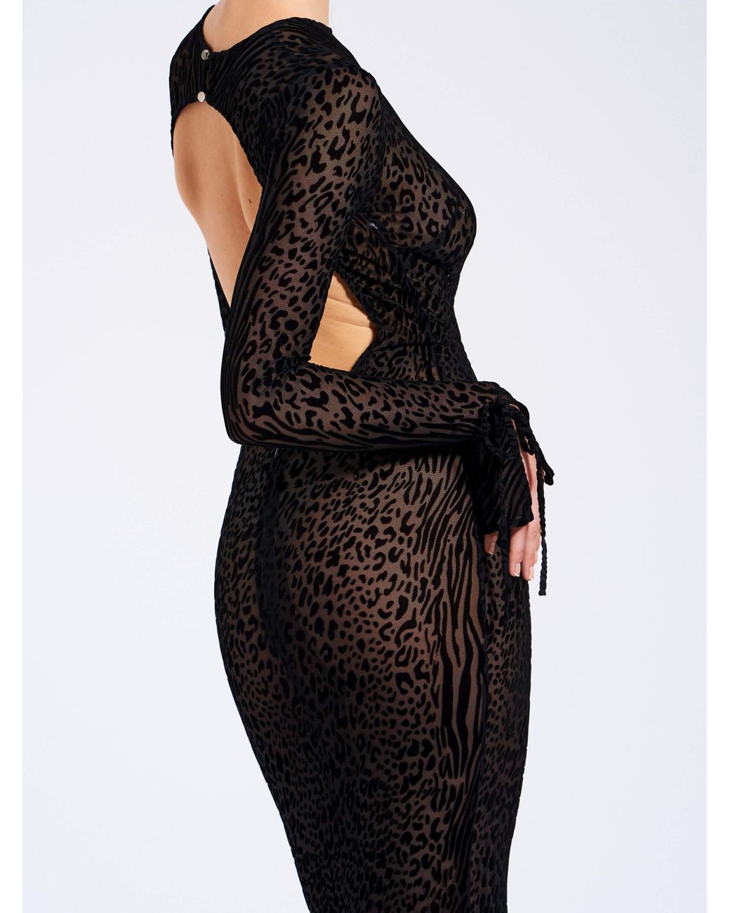 Miss Circle New York Waylynn Animal Print Burnout Velvet Detail Mesh ...