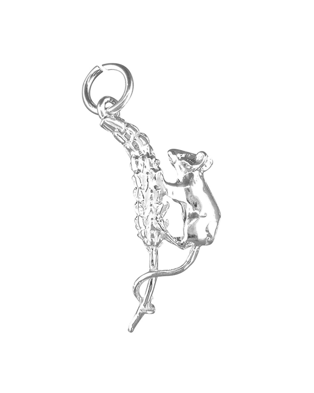 Kaizarin Chinese Calendar Rat Charm On Chain in Metallic | Lyst UK