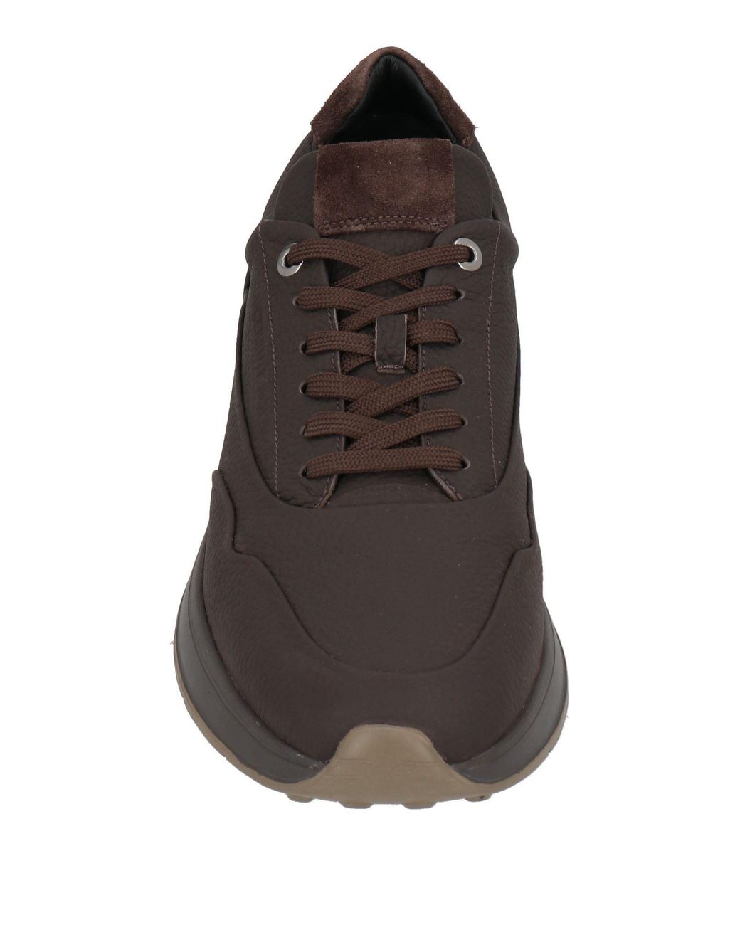 Cerruti 1881 Dark Sneakers Cow Leather in Brown for Men | Lyst