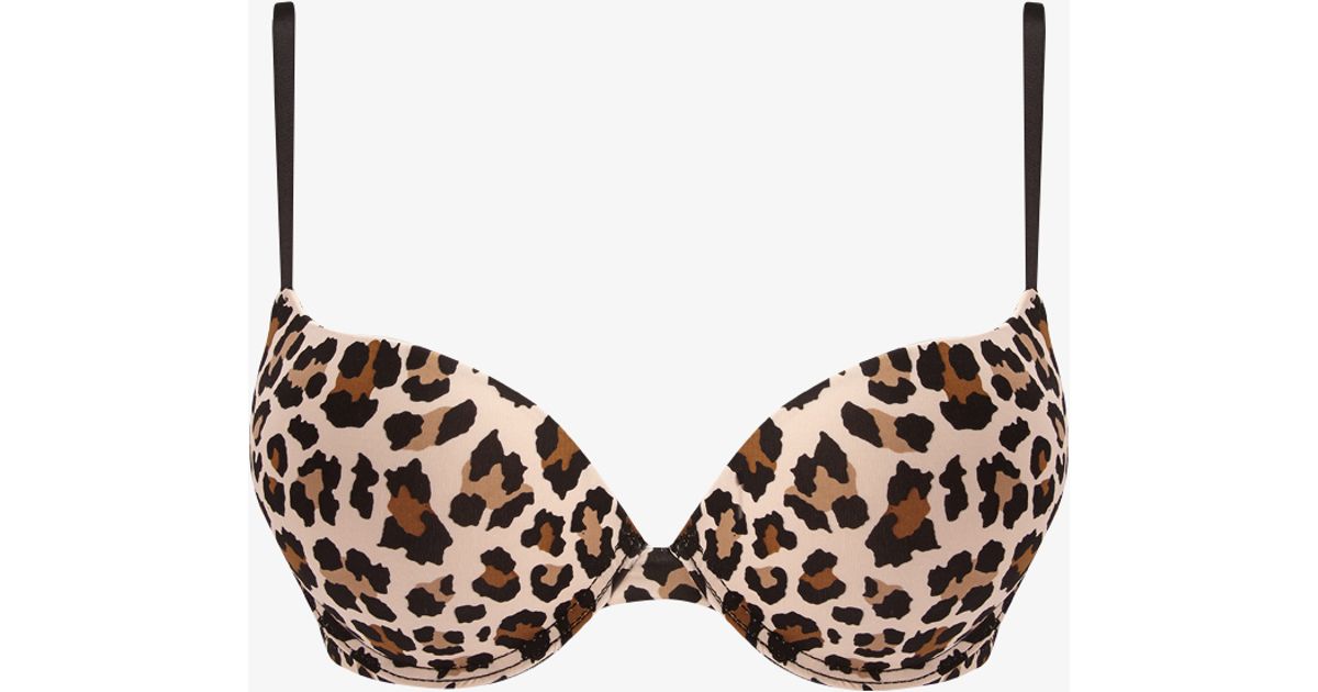 leopard print bra Cheaper Than Retail Price> Buy Clothing, Accessories ...