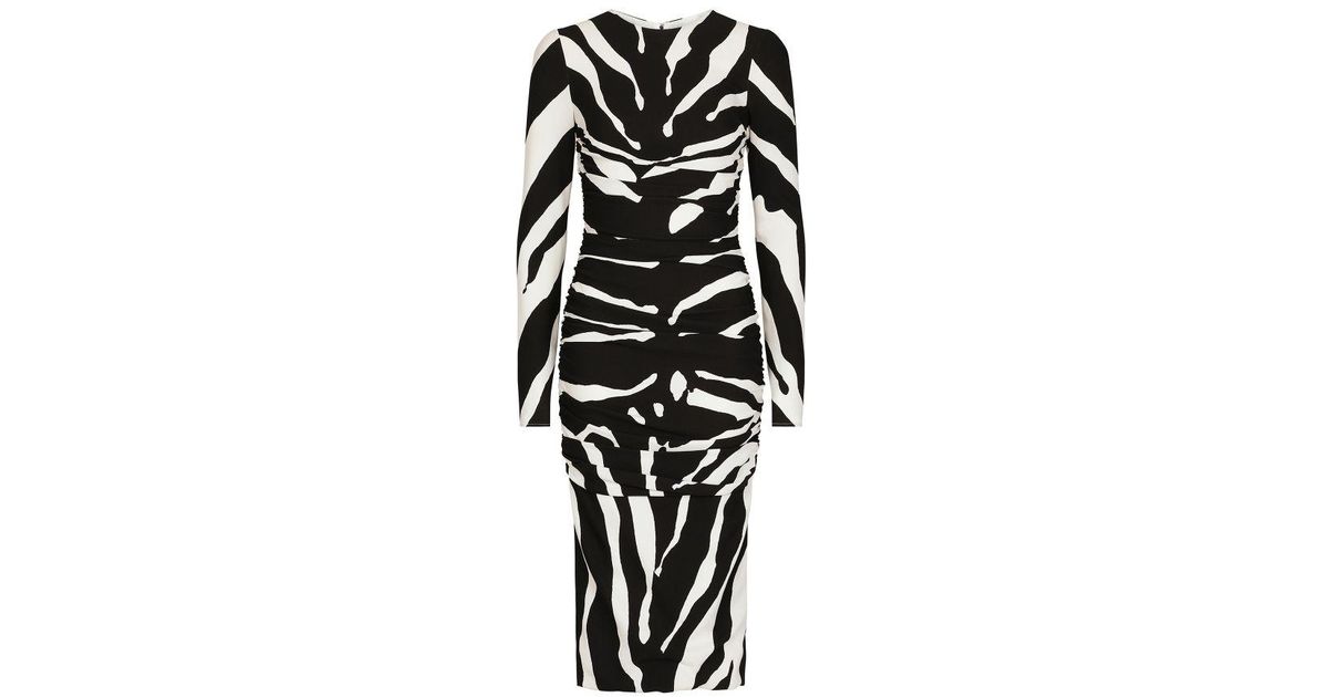 Dolce And Gabbana Zebra Print Cady Midi Dress In Black Lyst Uk