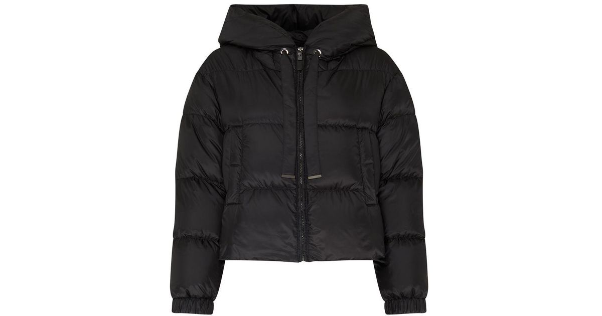 Max Mara Short Padded Puffer Down Jacket in Black | Lyst Max Mara Short Padded Puffer Down Jacket in Black | Lyst