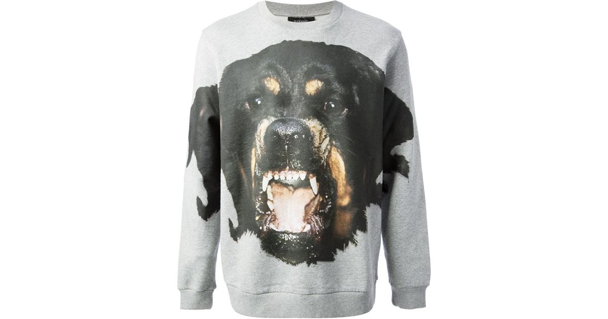 Givenchy Rottweiler Sweatshirt in Grey (Gray) for Men | Lyst