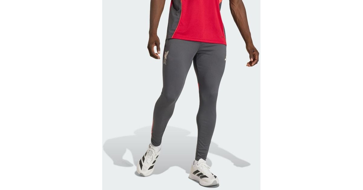 adidas Liverpool Fc Tiro 25 Competition Training Pants in Red for Men ...
