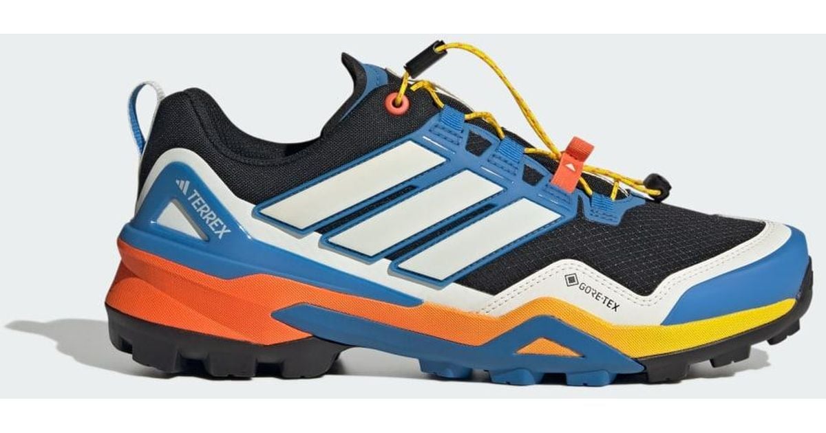 adidas Terrex Skychaser Gore-Tex Hiking Shoes in Blue for Men | Lyst UK