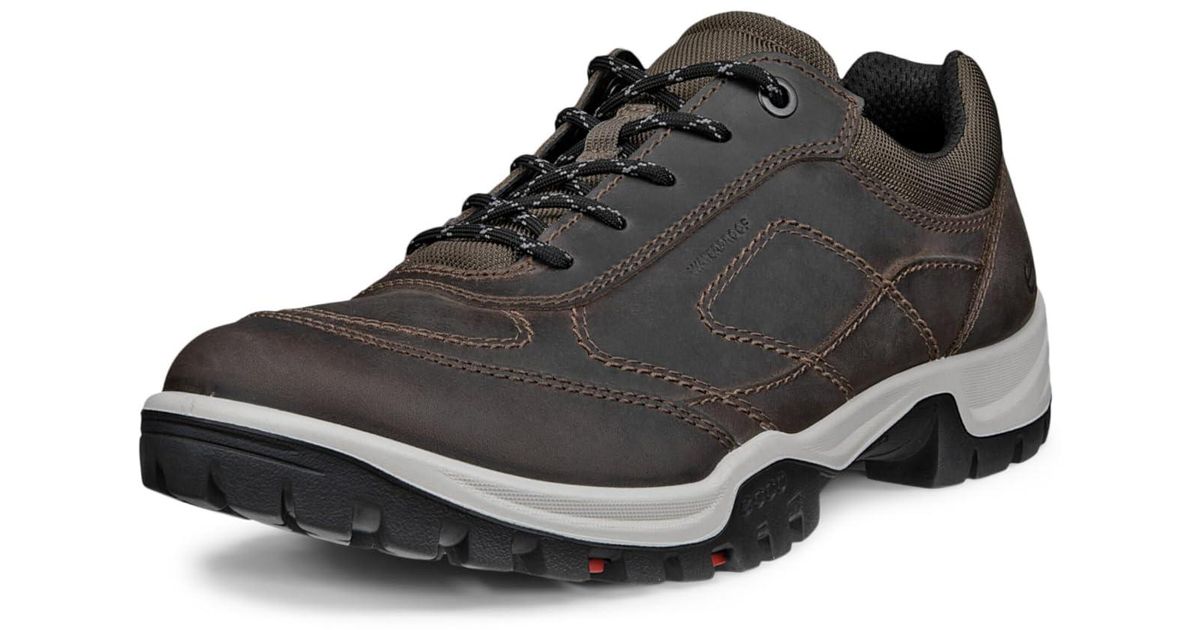 Ecco Male Xpedition Iii M Lace-up Shoes Brown in Black for Men | Lyst UK