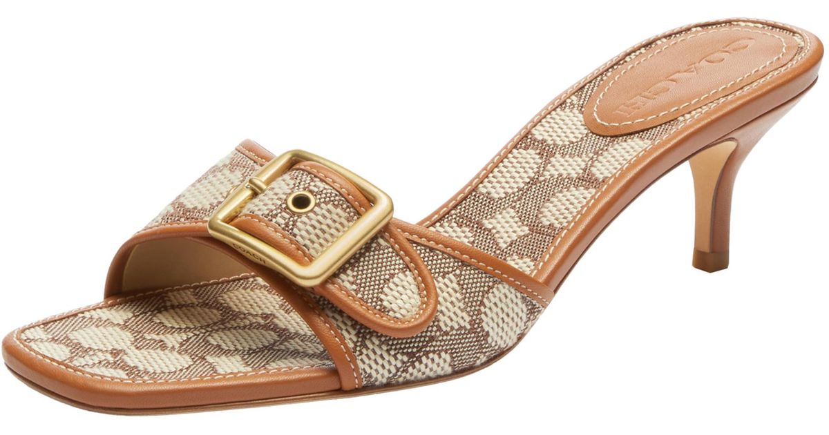 COACH Cz373 Urc 11 B Margot Sig Txt Jqd Cocoa/burnished Amber 11 B in Brown | Lyst