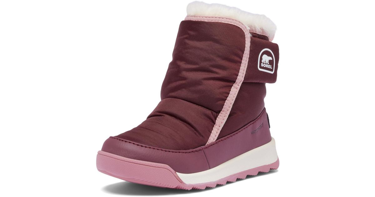 Sorel Epic in Purple | Lyst