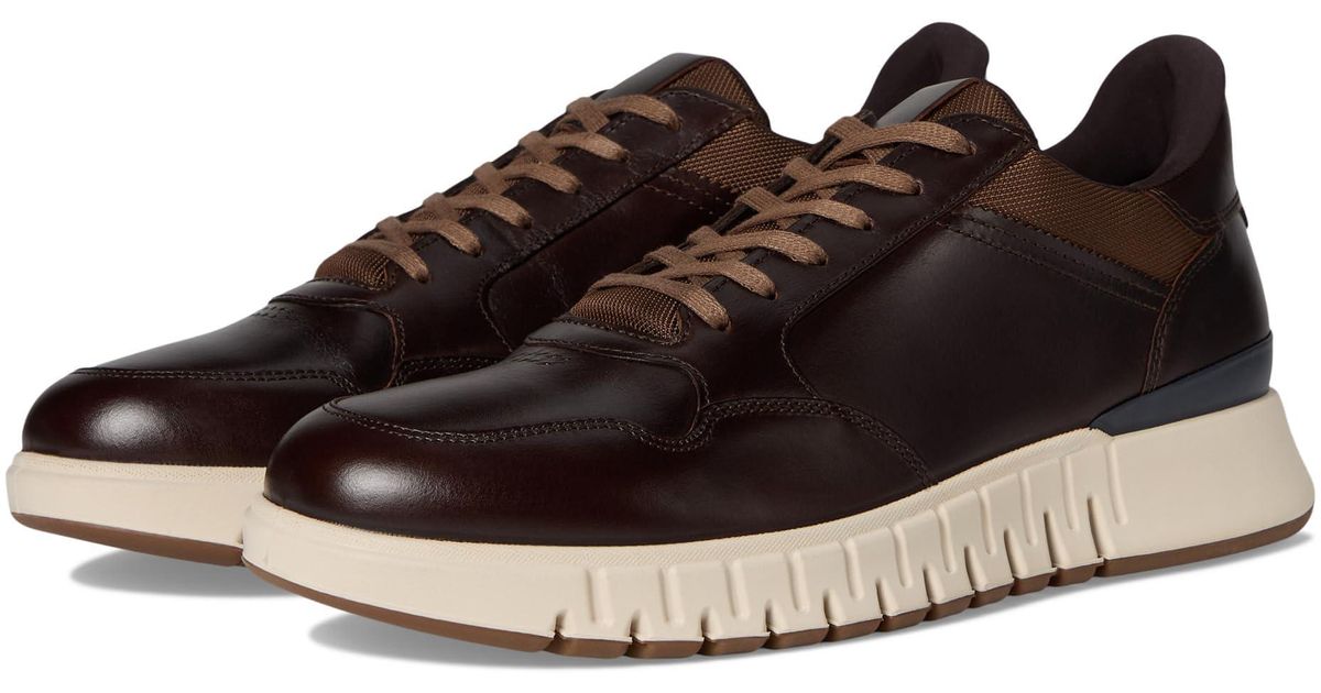 Ecco Gruuv Studio Runner Sneaker Shoes Cocoa/Coffee, Leather in Black ...