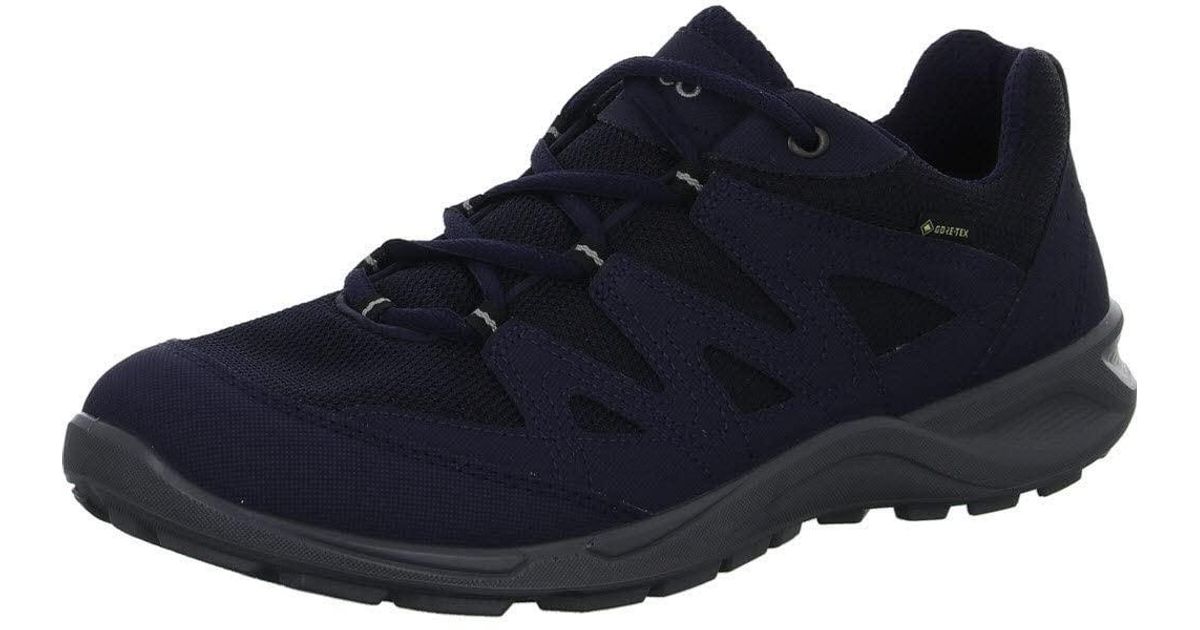 Ecco Terracruise LT M Low GTX Outdoor Shoe in Blau für Herren | Lyst DE