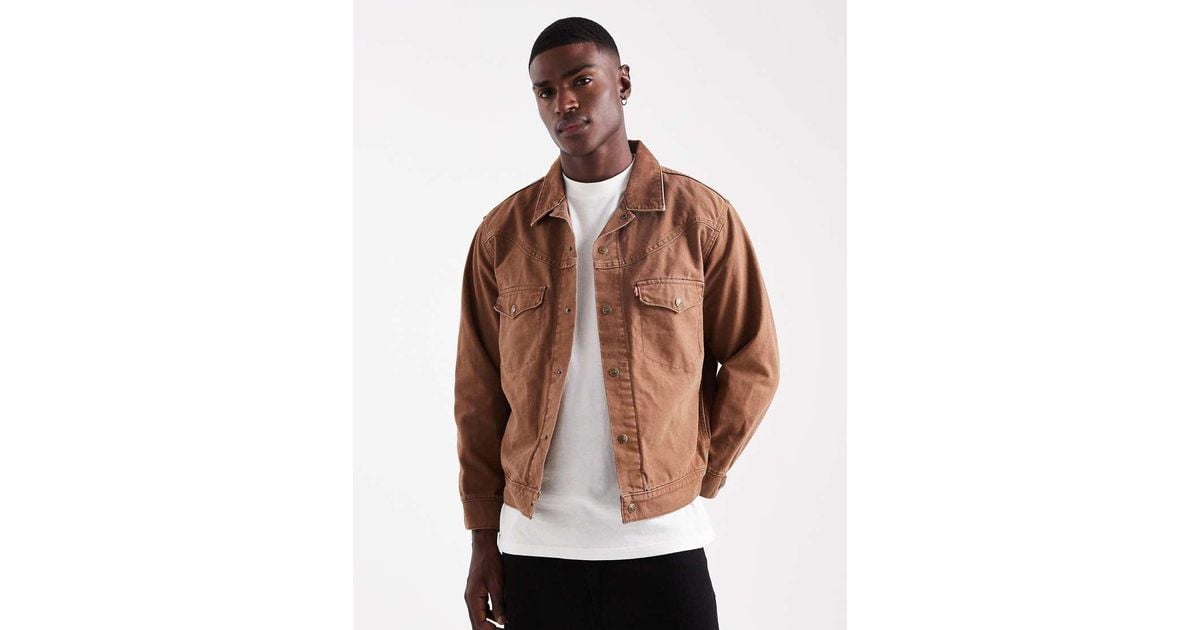 Levi's Western Shorthorn Trucker Jacket in Brown for Men | Lyst UK