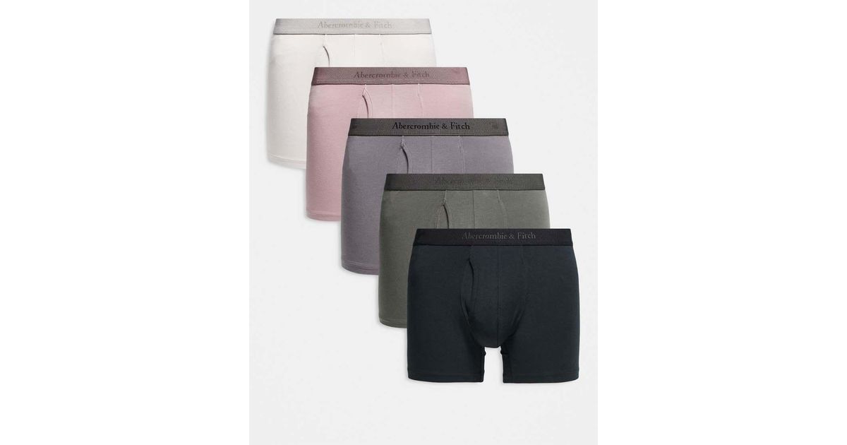 Abercrombie & Fitch 5 Pack Tonal Boxer Briefs in Grey for Men | Lyst UK