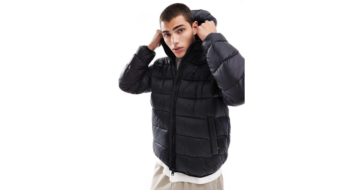 Champion Legacy Hooded Puffer Jacket in Black for Men | Lyst UK