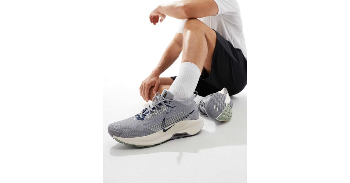 Nike Reactx Pegasus Trail 5 Gore-Tex Trainers in Grey for Men | Lyst UK