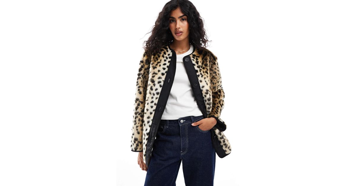 ASOS Leopard Print Faux Fur Collarless Jacket in Blue | Lyst