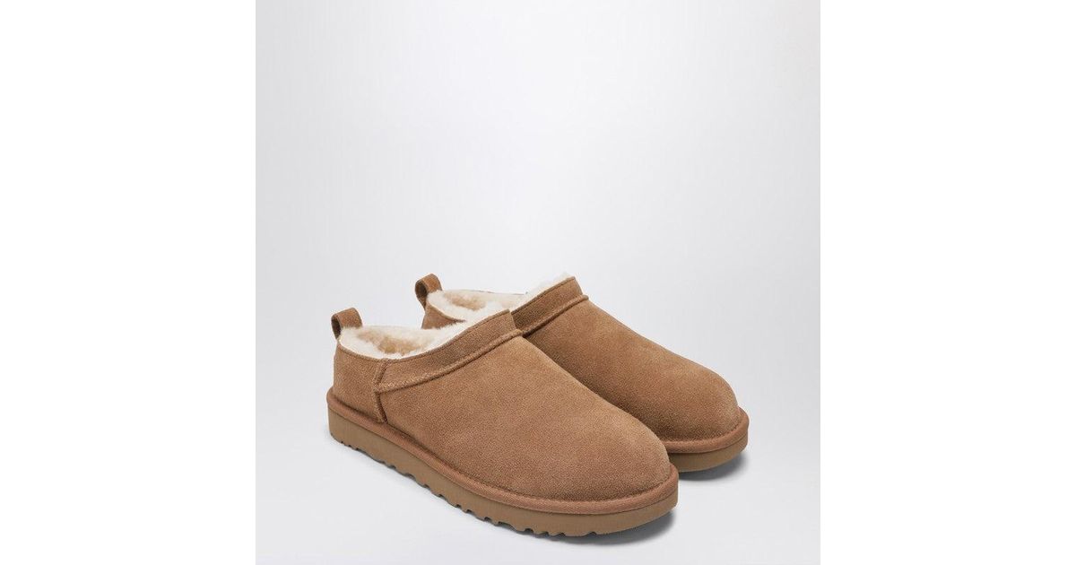 UGG Ankle Boots Micro Color Chestnut in Brown | Lyst UK