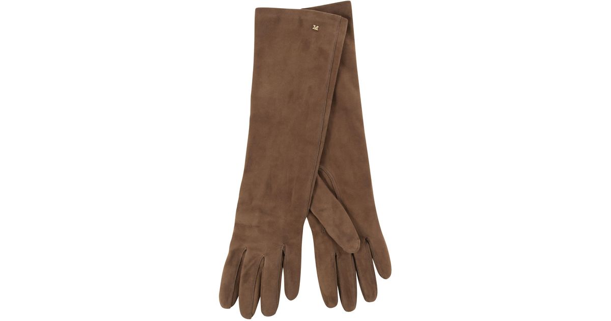Max Mara Afideesuede Long Suede Nappa Gloves in Brown | Lyst UK