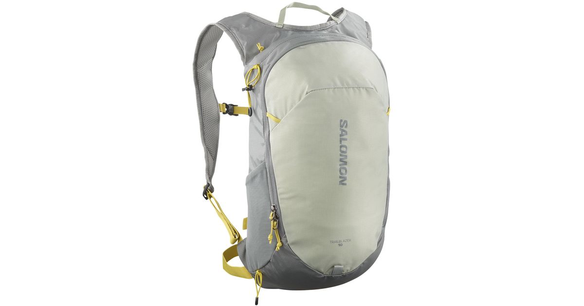 Salomon Trailblazer 10L in Gray | Lyst