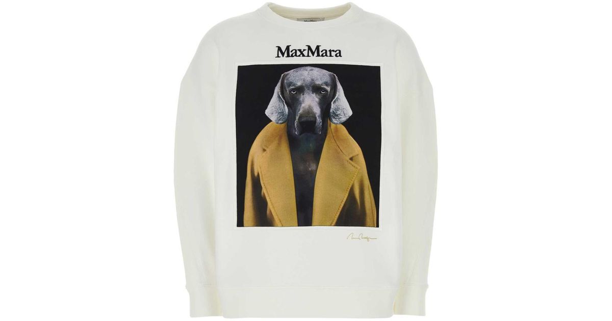 Max Mara Cotton Wegman Dog Sweatshirt in White | Lyst Australia