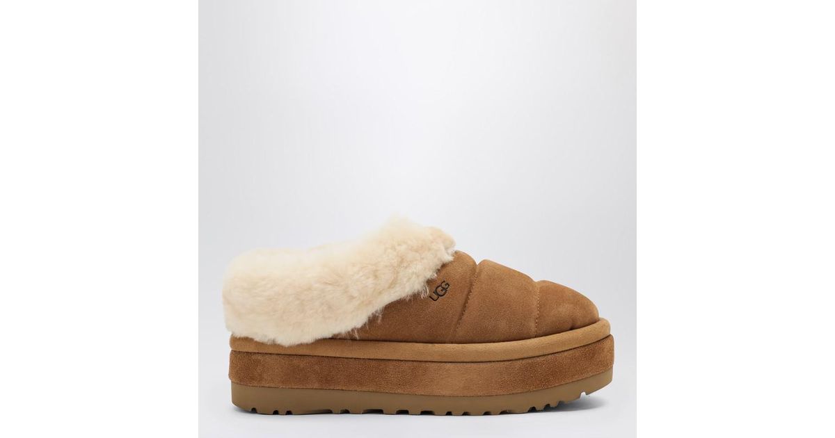 UGG Slide W Tazzlita Chestnut Suede in Brown | Lyst