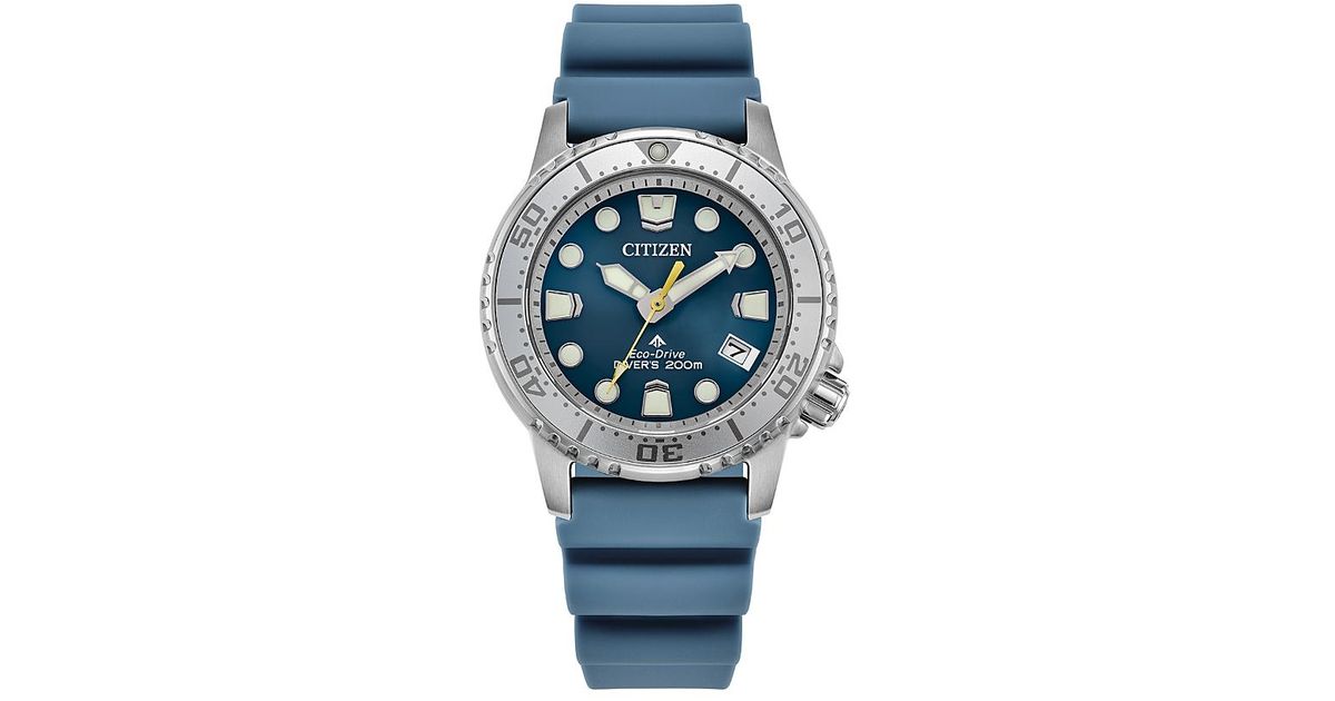 Citizen Eco Drive Promaster Sea Dive Watch, 37Mm in Blue | Lyst