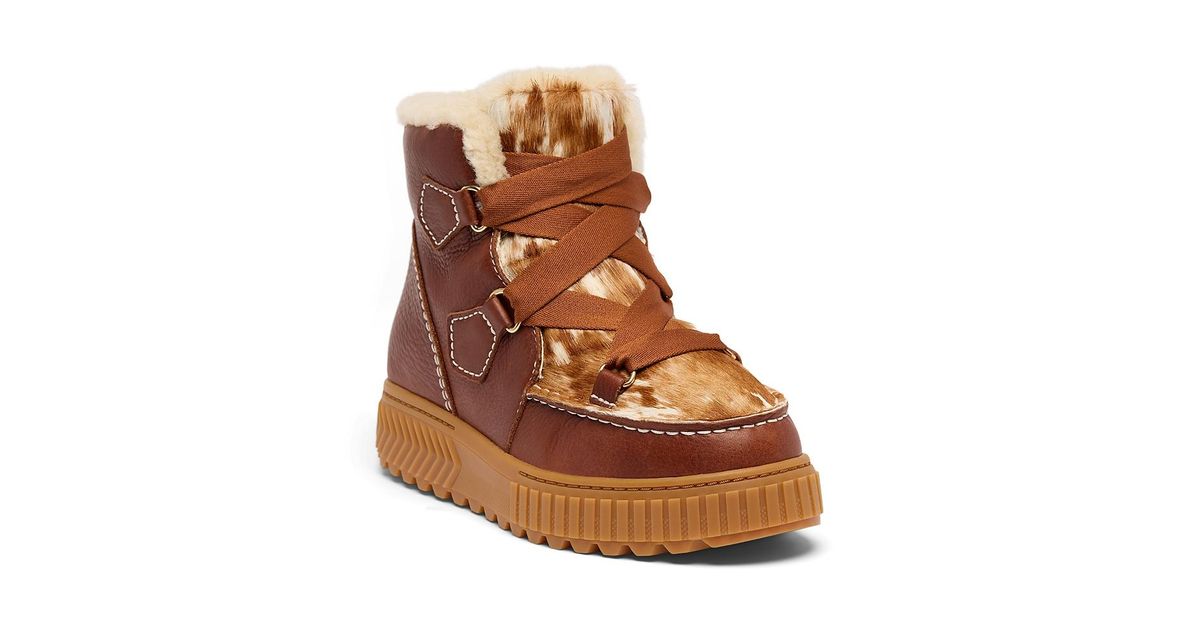 Sorel X Aspen Ona Ave Alpine Lux Boots in Brown | Lyst