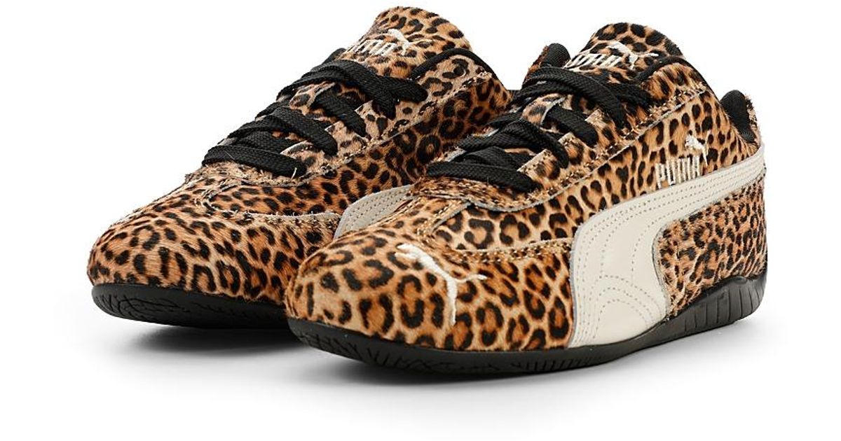PUMA Speedcat Leopard Calf Hair Sneakers in Brown | Lyst
