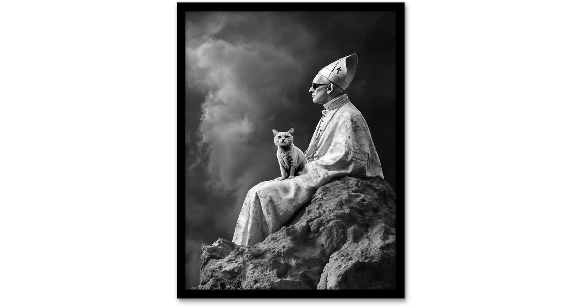 BoohooMAN Artery8 Cat Lover Pope Sunglasses Black White Surreal Framed ...