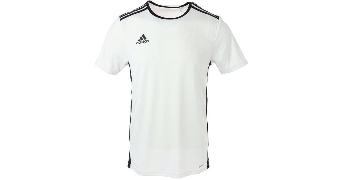 adidas Synthetic T-shirt in White for Men | Lyst