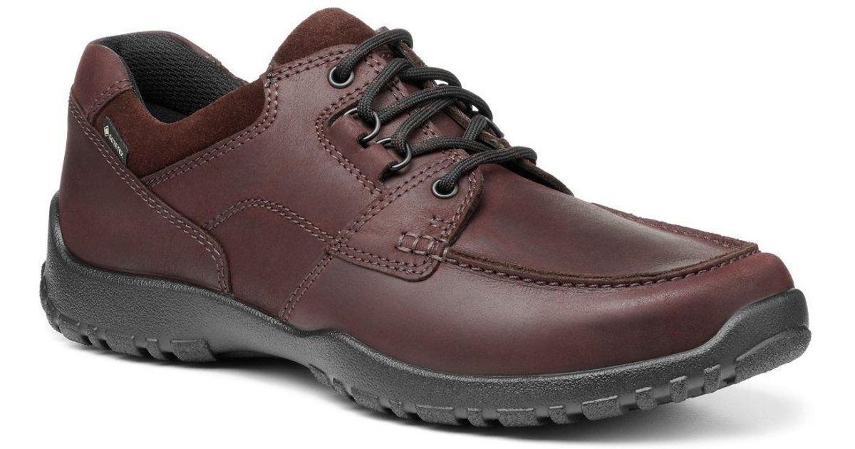 Hotter Zeus Gtx Walking Shoes in Brown for Men | Lyst UK