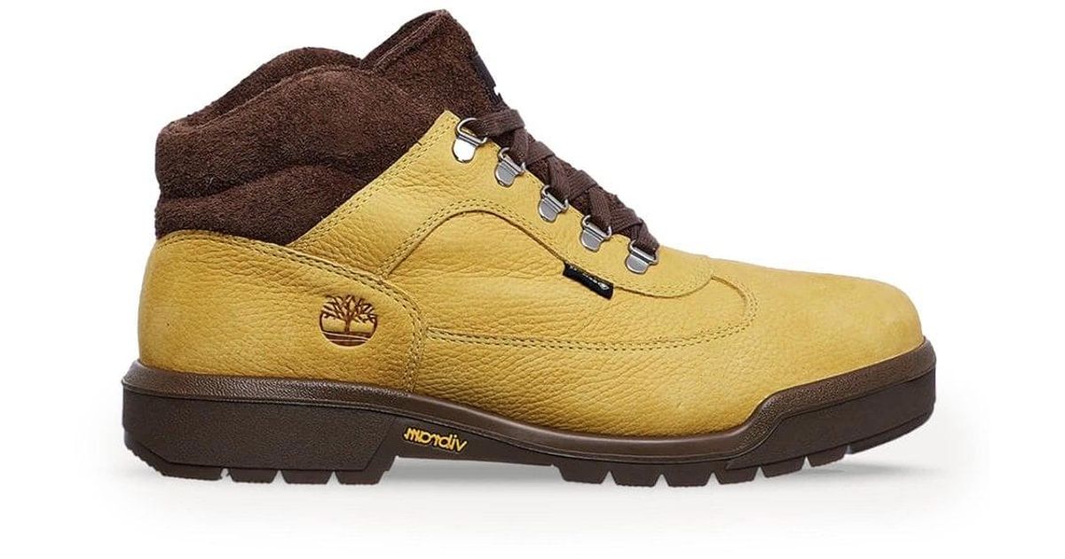 Timberland Gtx Field Boot in Brown for Men | Lyst UK