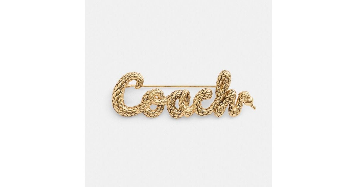 COACH New Year Snake Script Brooch in Metallic | Lyst
