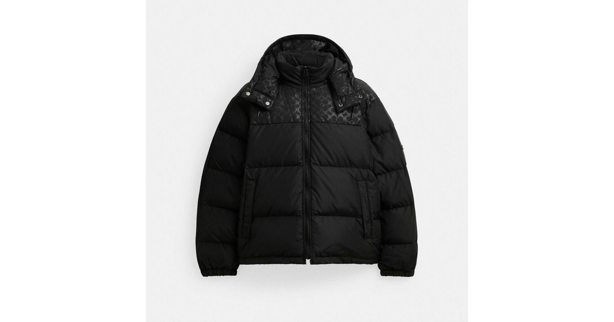 COACH Down Puffer Jacket In Recycled Polyester in Black for Men | Lyst