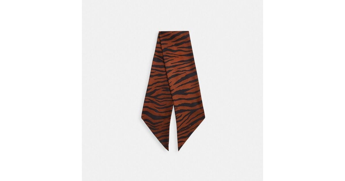 COACH Tiger Print Silk Wide Skinny Scarf in Brown | Lyst