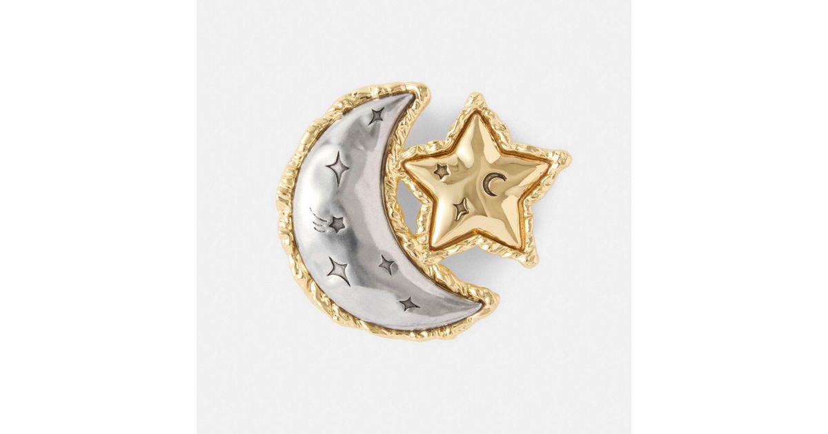COACH Moon And Star Brooch in Metallic | Lyst