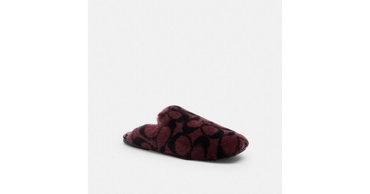 COACH Slipper In Signature Shearling in Brown | Lyst