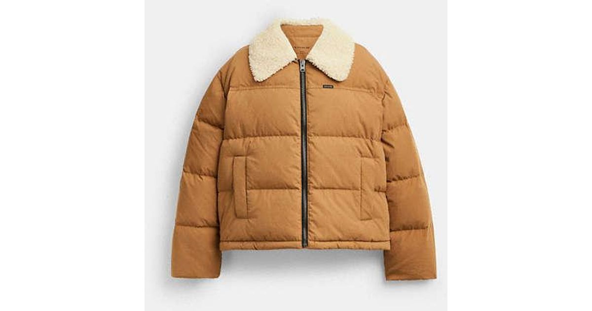 COACH Cotton Puffer Jacket With Collar in Black | Lyst