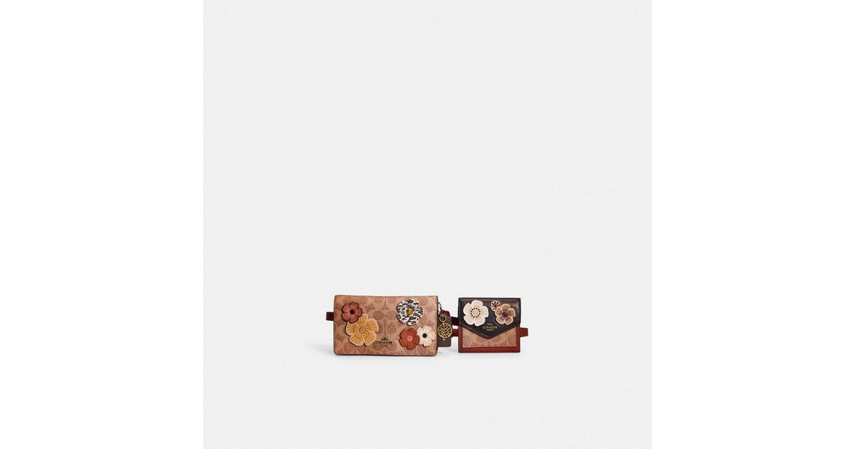 COACH Upcrafted Convertible Belt Bag In Colorblock Signature Canvas | Lyst