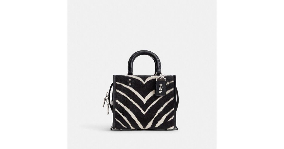 COACH Rogue 20 In Haircalf With Zebra Print in Black | Lyst