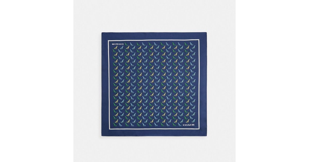 COACH T-rex Print Silk Bandana in Blue | Lyst